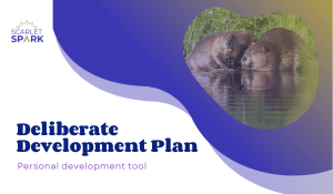 Deliberate Development Plan | Scarlet Spark